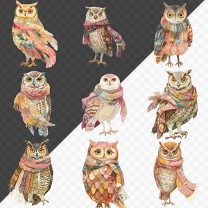PNG Watercolor Owl Clipart Bundle Vintage Owl PNG Royal Owls Watercolor ...