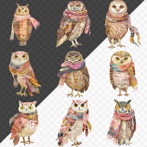 PNG Watercolor Owl Clipart Bundle Vintage Owl PNG Royal Owls Watercolor ...