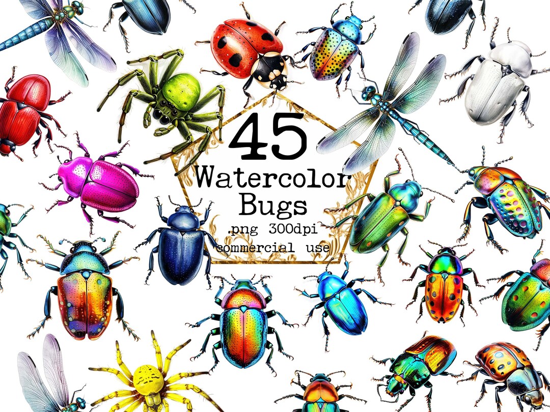 PNG Watercolor Bugs Clipart Bundle Beetle PNG Spider Ladybug Paper ...