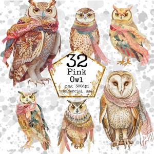 PNG Watercolor Owl Clipart Bundle Vintage Owl PNG Royal Owls Watercolor ...