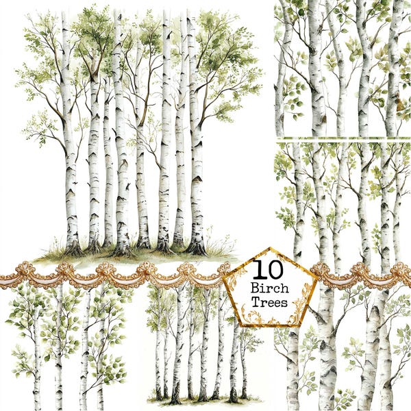 Birch Tree Art - Etsy