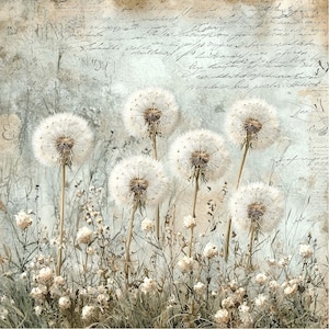 JPEG Scrapbook Dandelion Digital Paper Pack 12x12 Inches Weathered ...