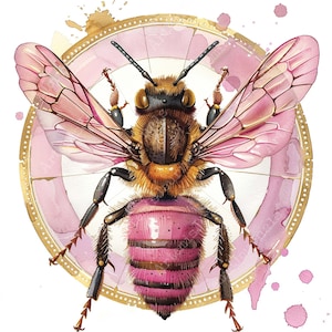 JPEG Watercolor Fantasy Pink Honey Bee Clipart Bundle JPEG Nature ...