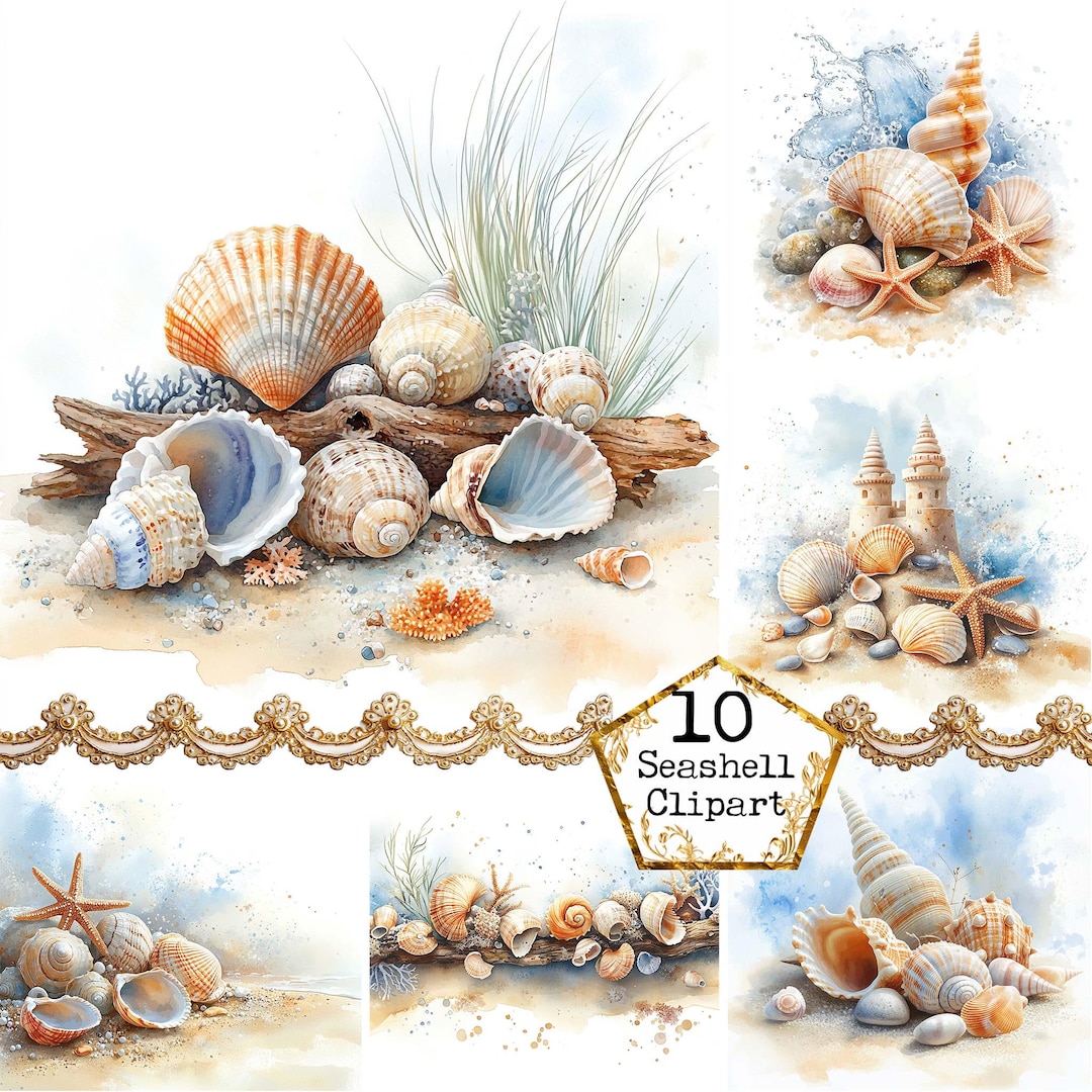 JPEG Watercolor Seashell on the Beach Clipart Bundle Overgrown Beach ...