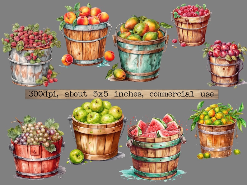Buckets of Fruits Clipart PNG Fruity Baskets Digital Image Downloads ...