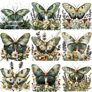 JPEG Watercolor Luna Green Moth Clipart Bundle Mystical Moth Clipart ...