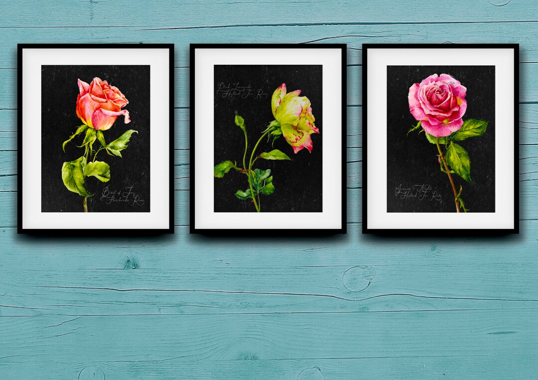 Set of 3 Printable Nature Print Instant Download Tea Rose Print Nature ...