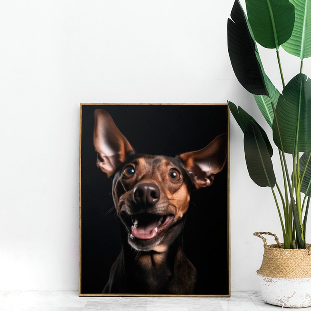 Silly Dog Poster Animal Poster Printable Digital Art Wall Decor Gift ...