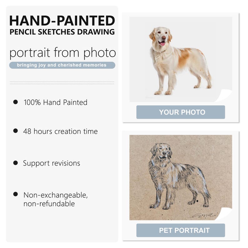 Custom Pet Portrait Sketch: Hand-drawn Charcoal Dog & Cat Art - Etsy