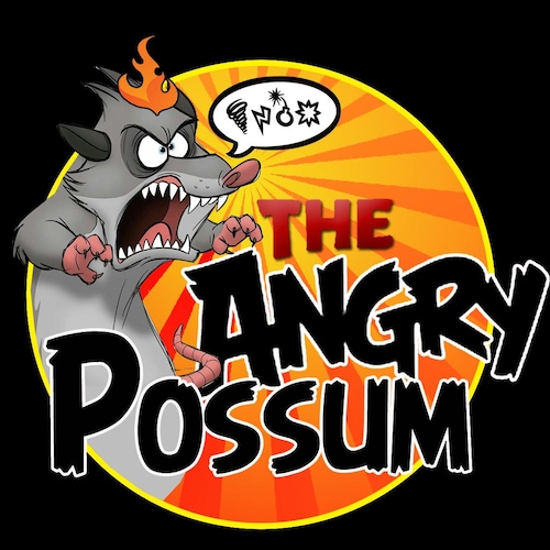 TheAngryPossum - Etsy