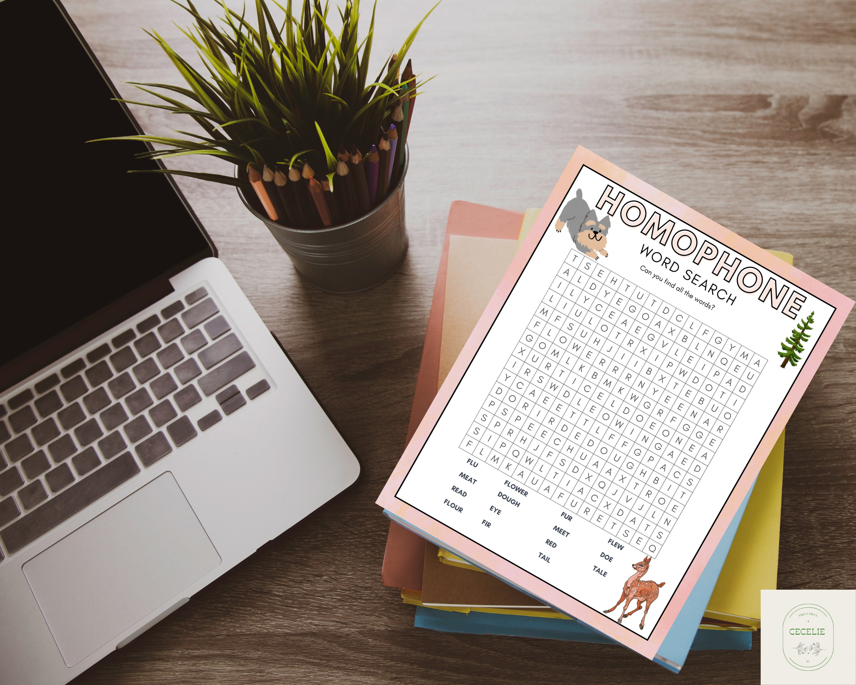 Homophones Worksheet Packet - Etsy