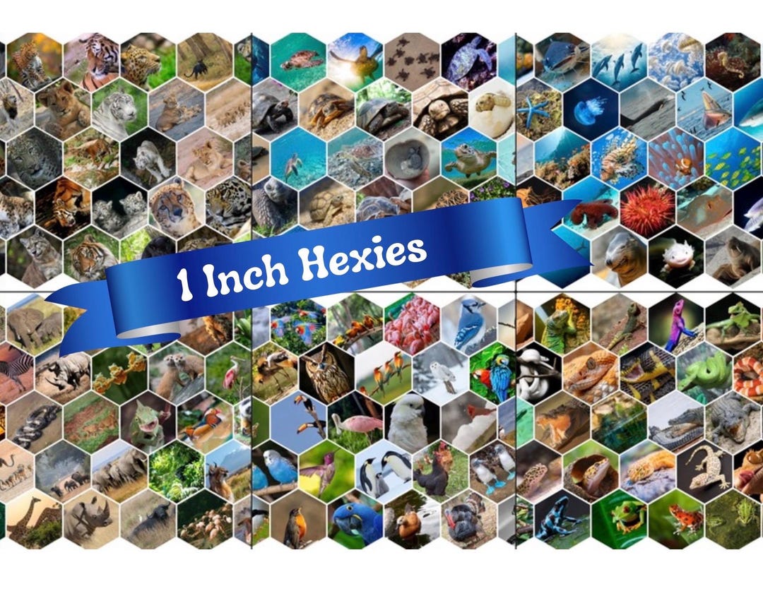 1” Hexagon EPP Templates – Animals – Printable English Paper Piecing ...