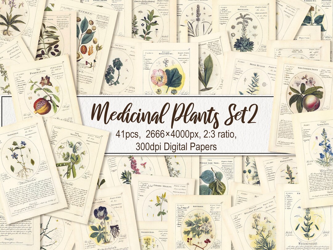 Medicinal Plants. DIGITAL DOWNLOAD. Botanicum Medicinale Herbal ...