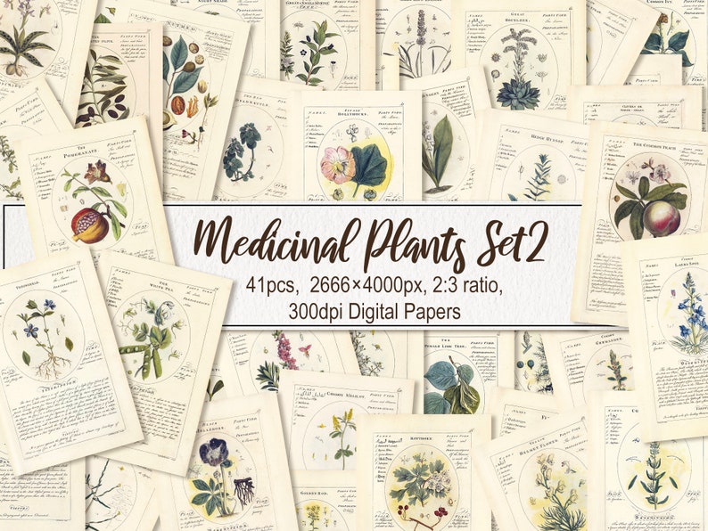 Medicinal Plants. DIGITAL DOWNLOAD. Botanicum Medicinale Herbal ...