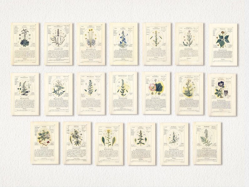 Medicinal Plants. DIGITAL DOWNLOAD. Botanicum Medicinale Herbal ...