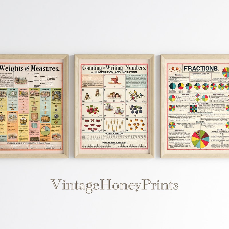 Vintage School Chart - Etsy
