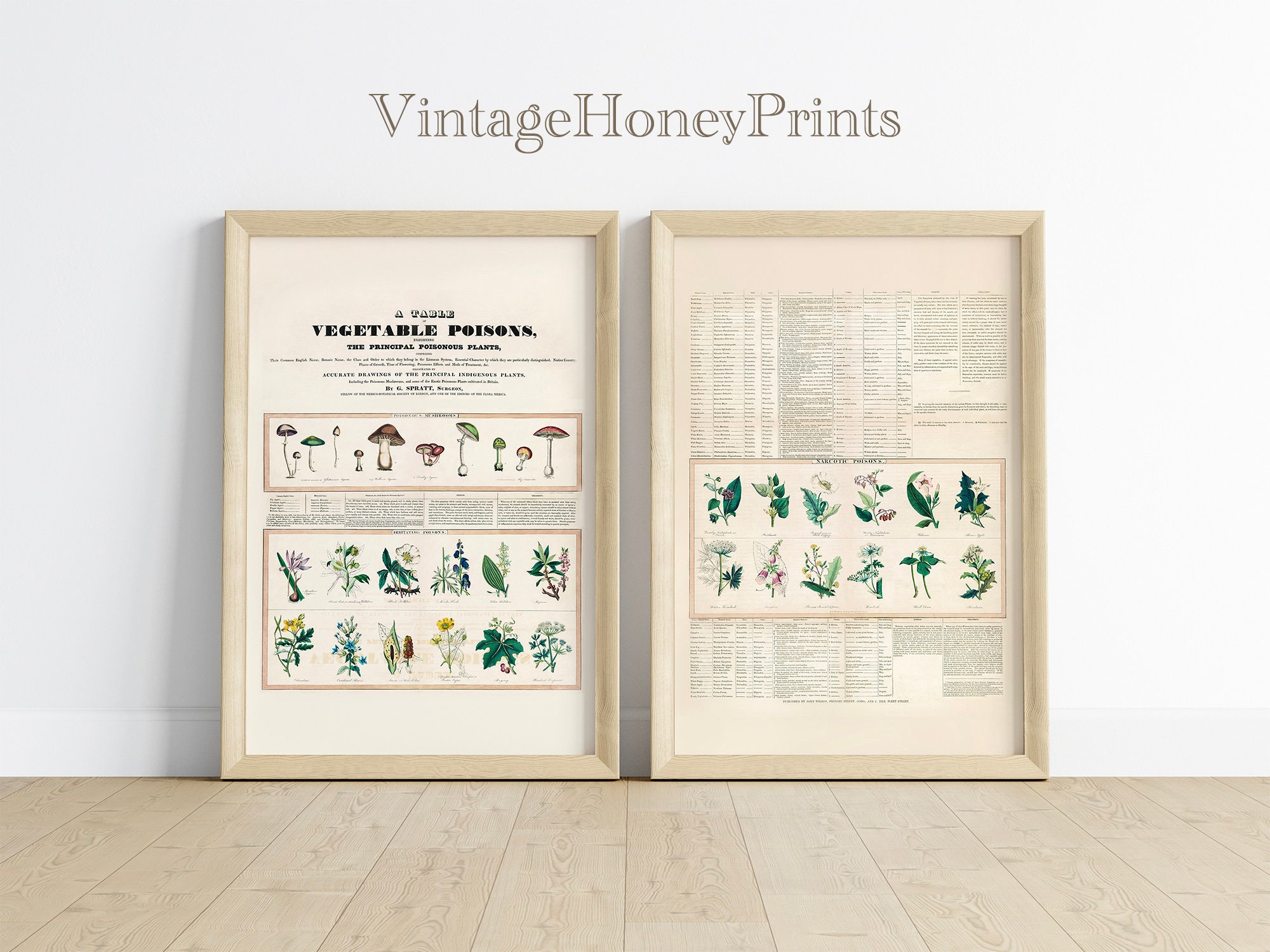 Vintage Poisons Poster. DIGITAL DOWNLOAD. Poisonous Plants Mushrooms ...