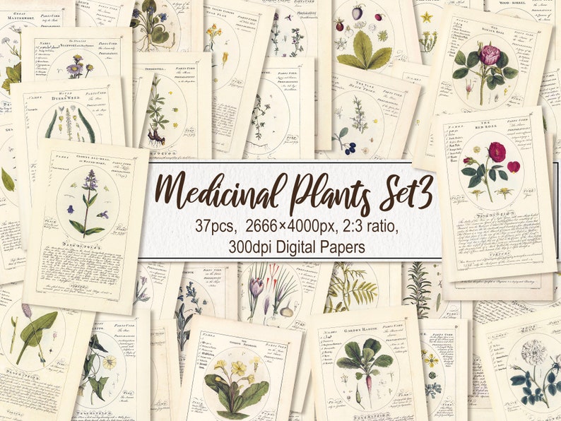 Medicinal Plants. DIGITAL DOWNLOAD. Botanicum Medicinale Herbal ...