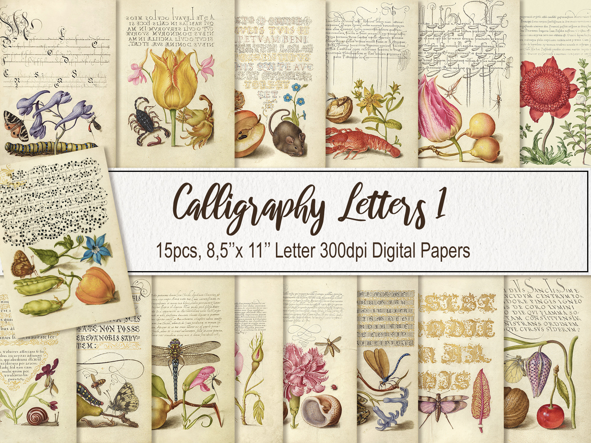 Calligraphy Letters Papers Pages. DIGITAL DOWNLOAD. Commercial Use ...