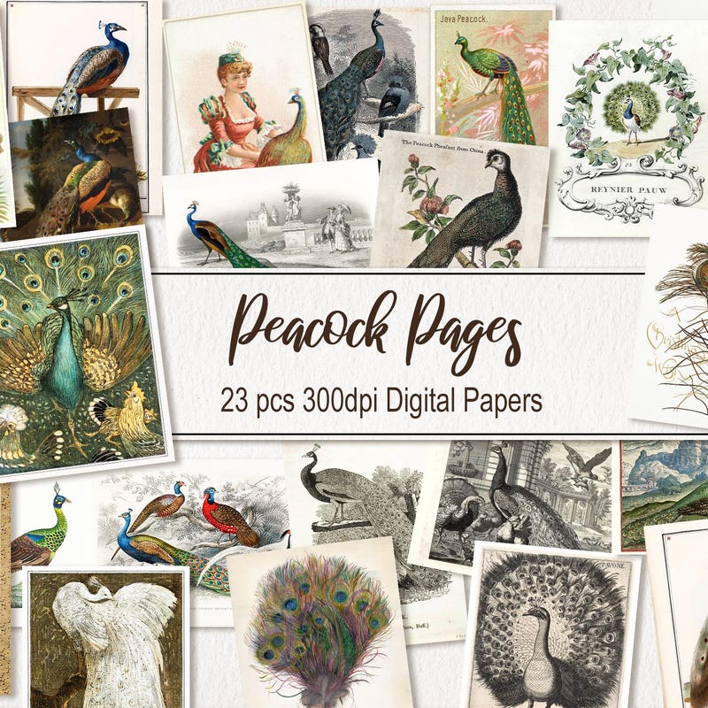 Peacock Papers - Etsy