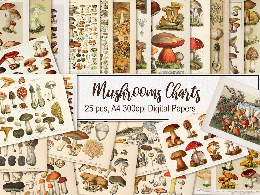 Edible Poisonous Mushrooms Charts Pages Paper Wall Art Poster. DIGITAL ...