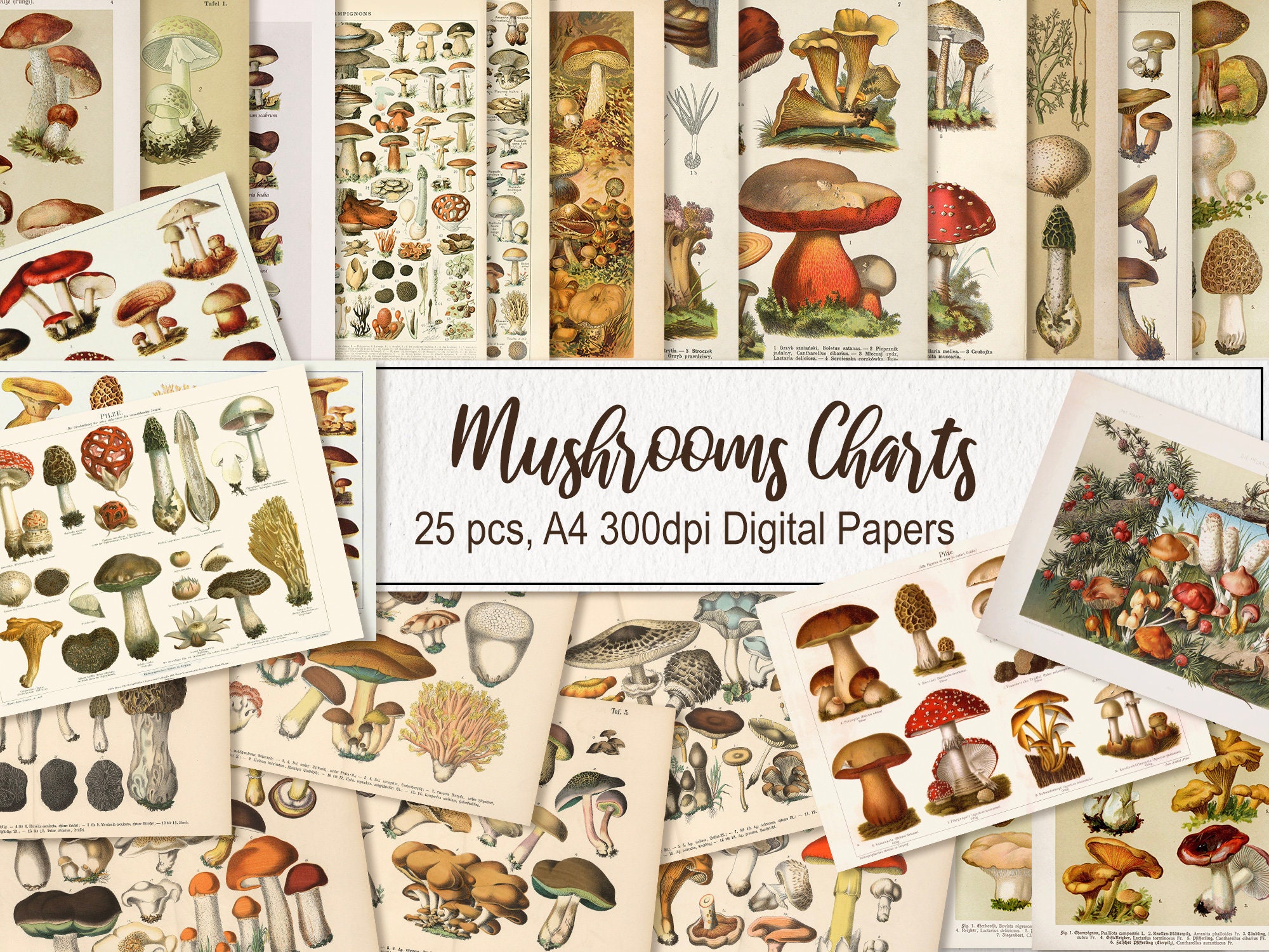 Edible Poisonous Mushrooms Charts Pages Paper Wall Art Poster. DIGITAL ...