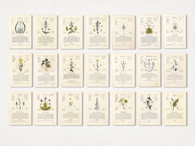 Medicinal Plants. DIGITAL DOWNLOAD. Botanicum Medicinale Herbal ...