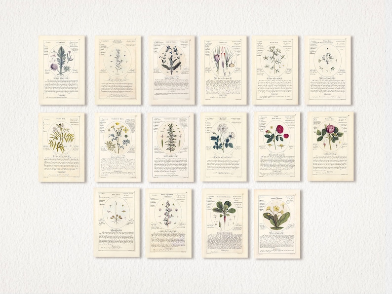 Medicinal Plants. DIGITAL DOWNLOAD. Botanicum Medicinale Herbal ...