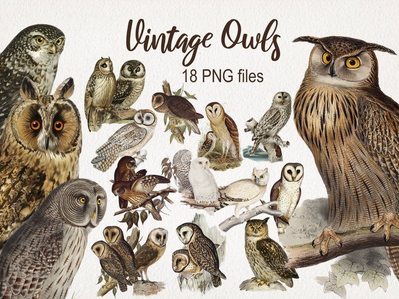 Vintage Owls. DIGITAL DOWNLOAD. PNG Files Isolated on Transparent ...