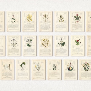 Medicinal Plants. DIGITAL DOWNLOAD. Botanicum Medicinale Herbal ...