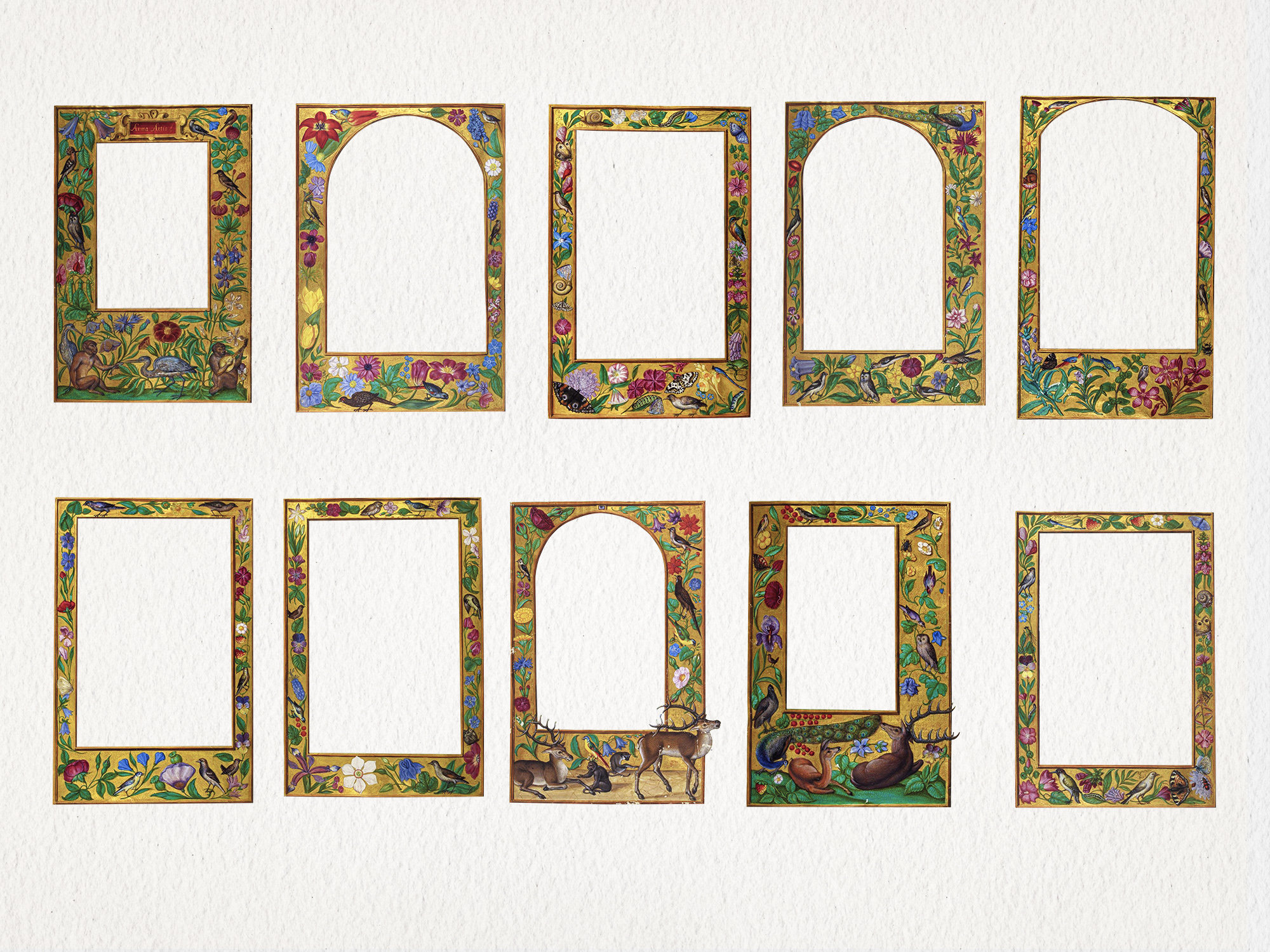 Medieval Illuminated Frames PNG Files. DIGITAL DOWNLOAD. - Etsy Australia