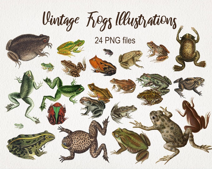 Frogs Art Print / Watercolor Painting / Nature Print / Field Guide Art ...