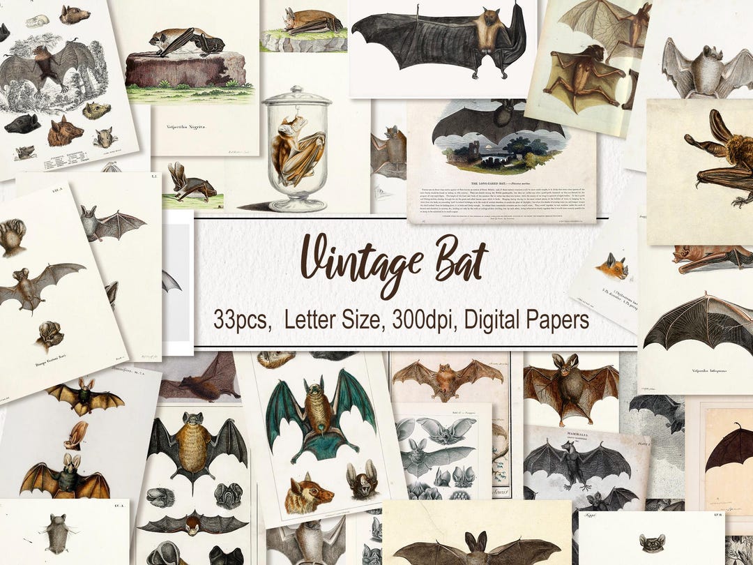 Bat Pages Papers Poster Wall Art. DIGITAL DOWNLOAD. Commercial Use ...