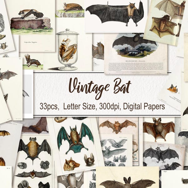 Bat Poster - Etsy