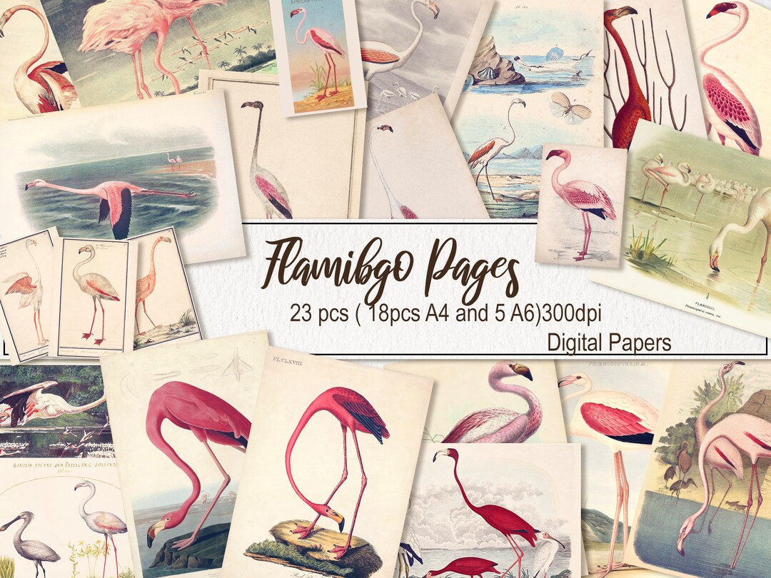 Flamingo Pink Birds Pages Papers Poster Wall Art. DIGITAL DOWNLOAD ...