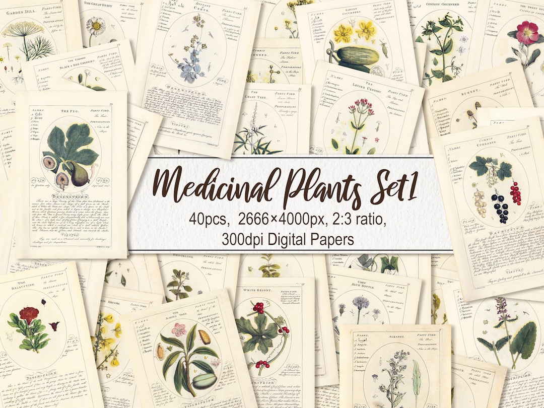 Medicinal Plants. DIGITAL DOWNLOAD. Botanicum Medicinale Herbal ...