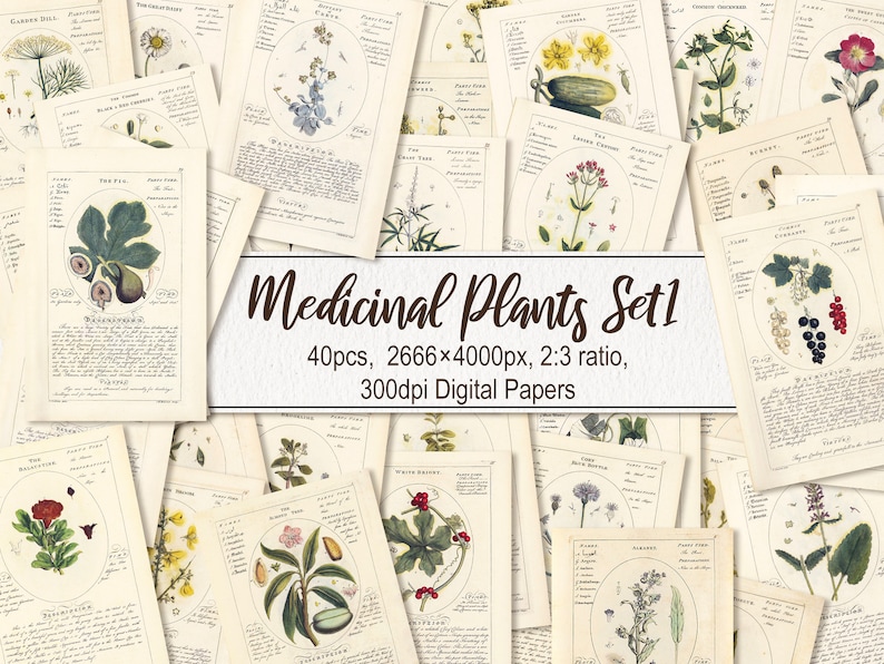 Medicinal Plants. DIGITAL DOWNLOAD. Botanicum Medicinale Herbal ...