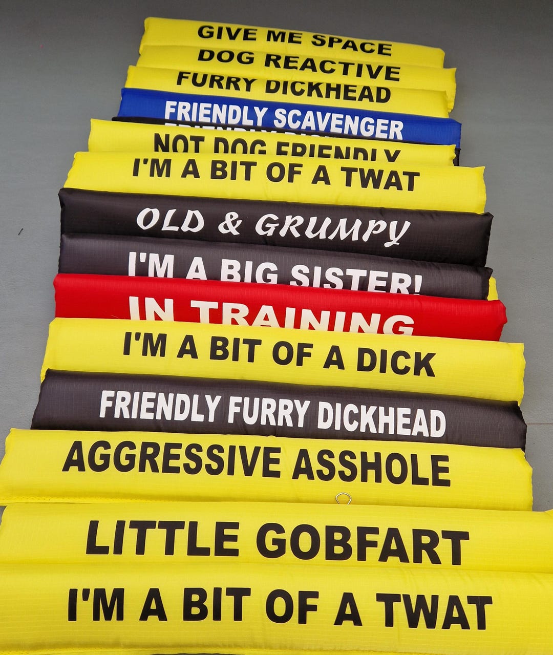 Dog Lead Sleeve, Custom, Your Choice of Text and Colour, Any Text Any ...