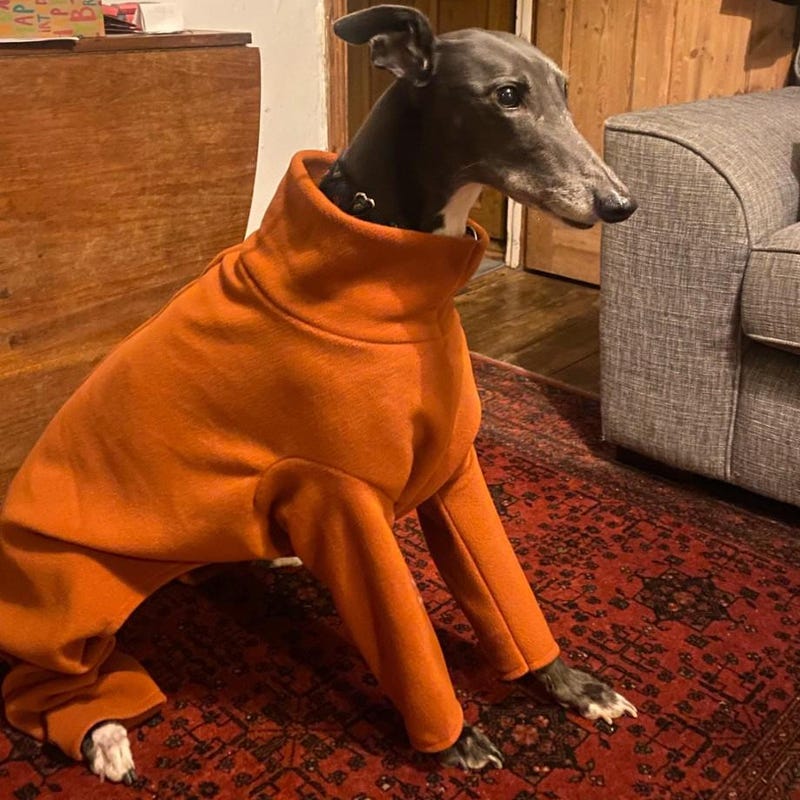 Fleece Dog Coat With Zip - Etsy UK