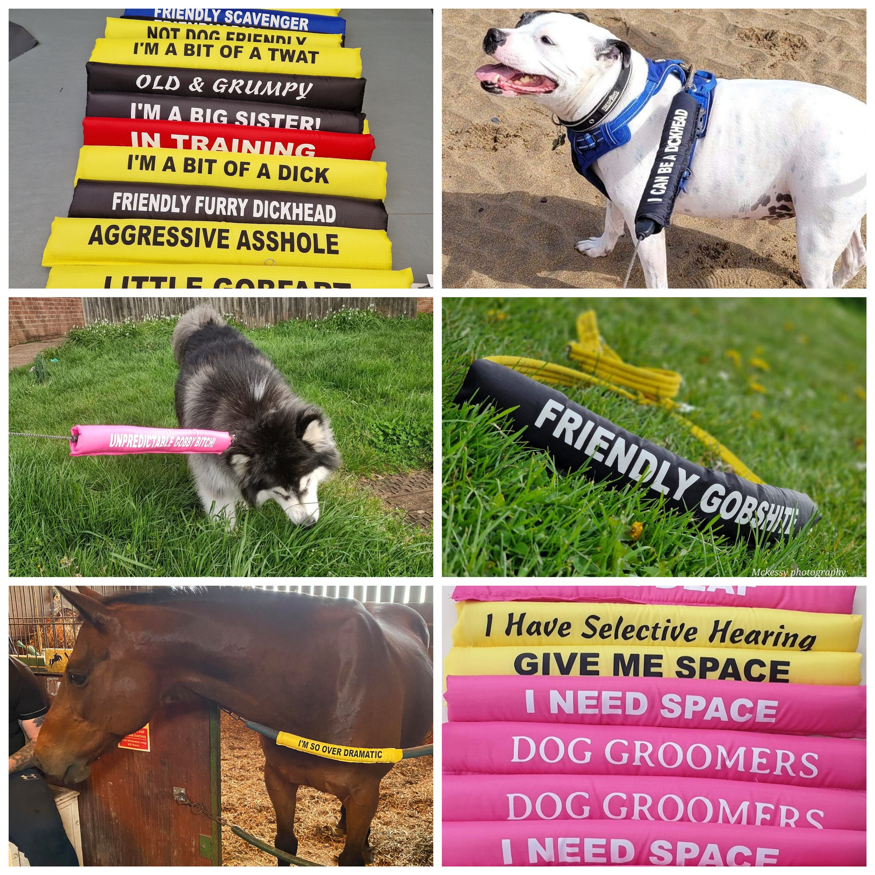 Dog Lead Sleeve, Custom, Your Choice of Text and Colour, Any Text Any ...