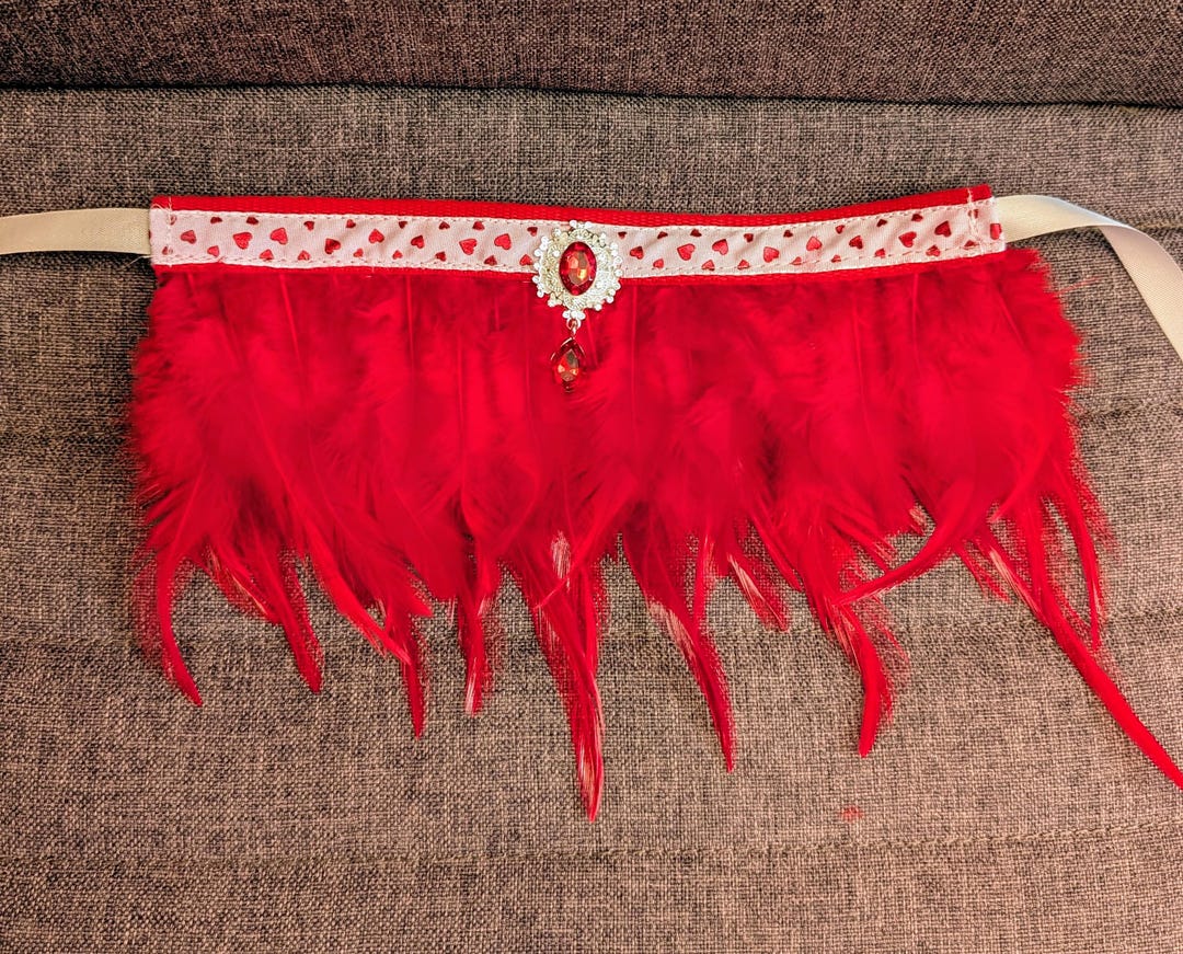 Dog Ruffle Feathers, Valentine's. Asian Fusion Grooming. Neck Feathers ...