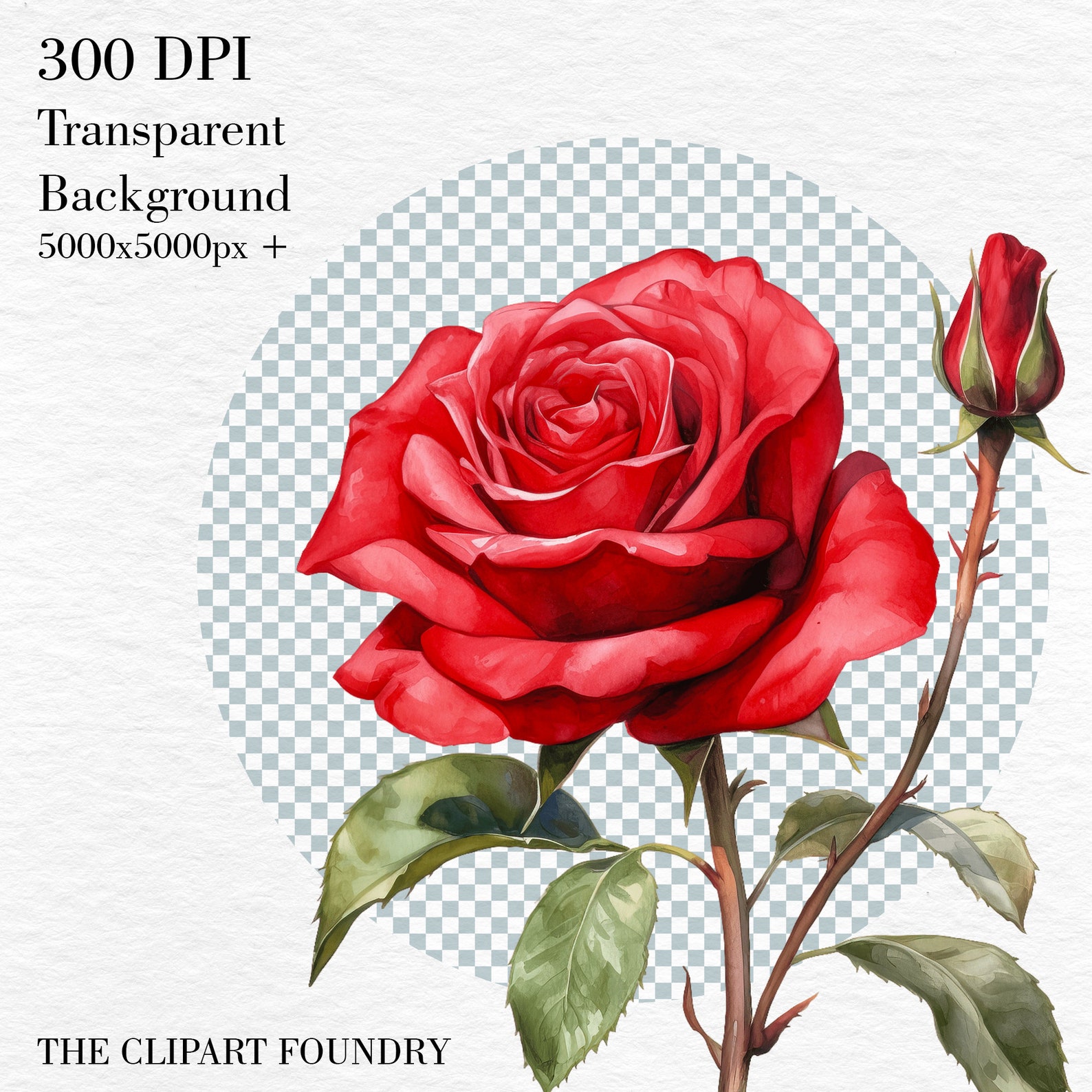 24 Red Roses High Quality PNG Images Transparent - Etsy
