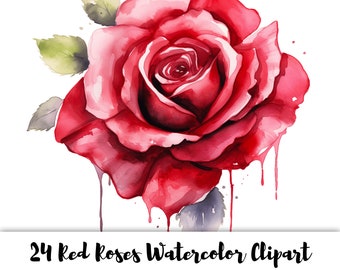 Purple Iris Flowers 22 High Quality PNG Images Transparent Background ...