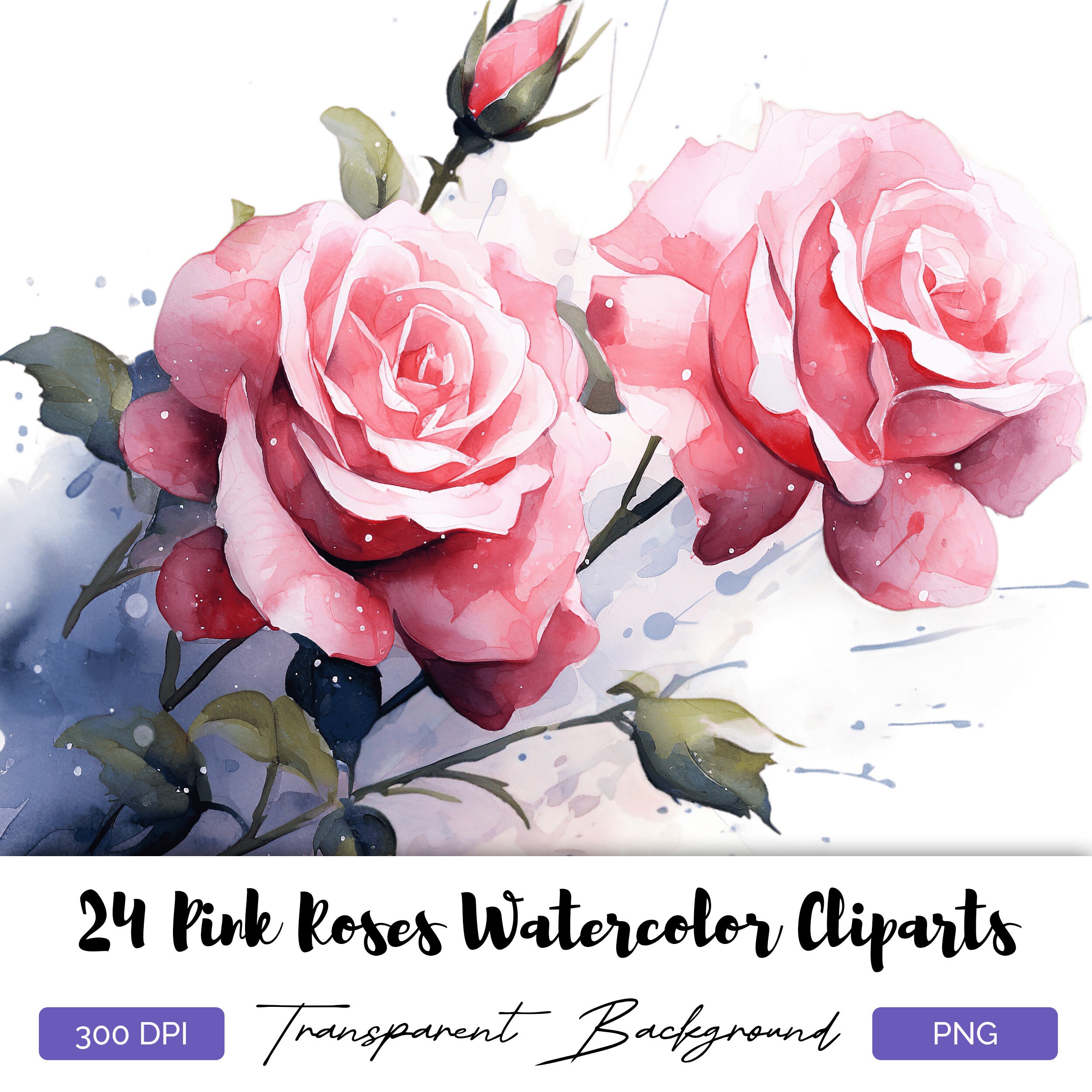 24 Pink Roses - High Quality PNG Images - Transparent Background - High ...