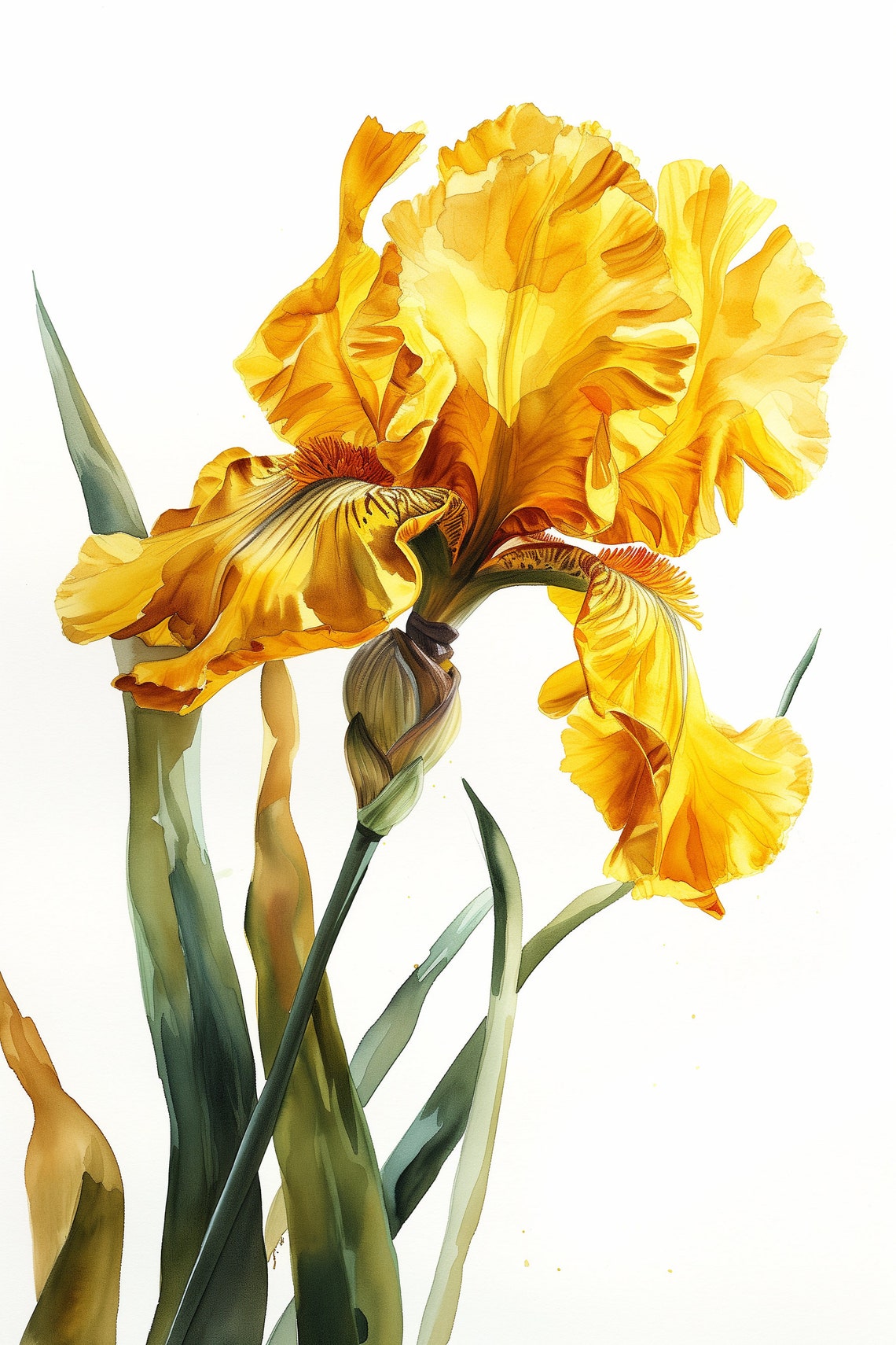 Yellow Iris Flowers 24 High Quality PNG Images Transparent Background ...