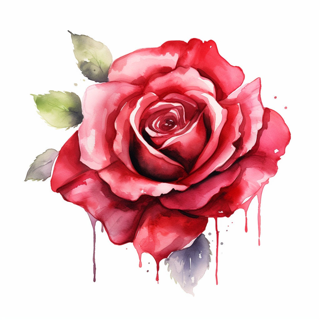 24 Red Roses High Quality PNG Images Transparent Background High ...