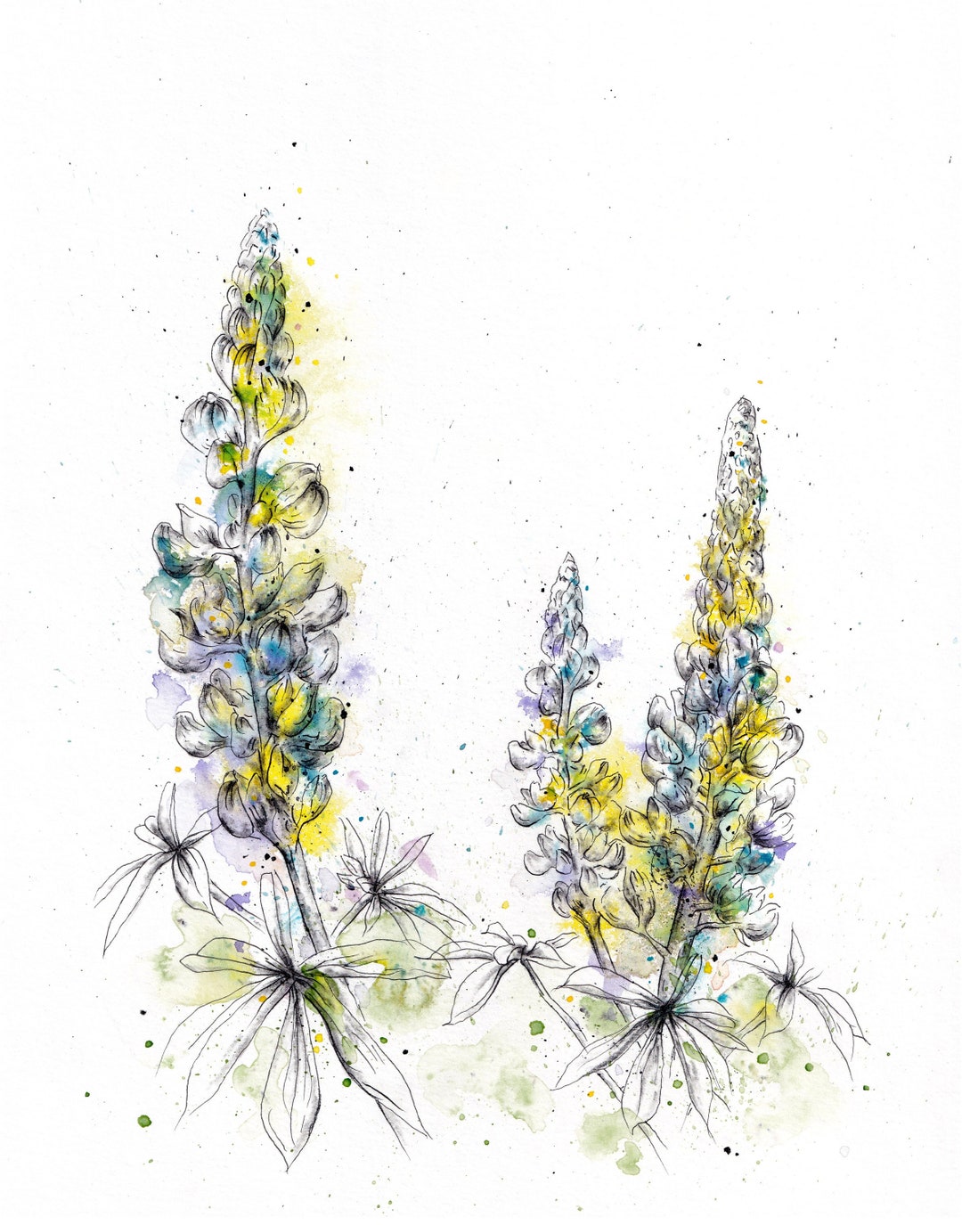 Flower Wall Art Decor | Lupin Drawing | Floral Artwork | Printable ...