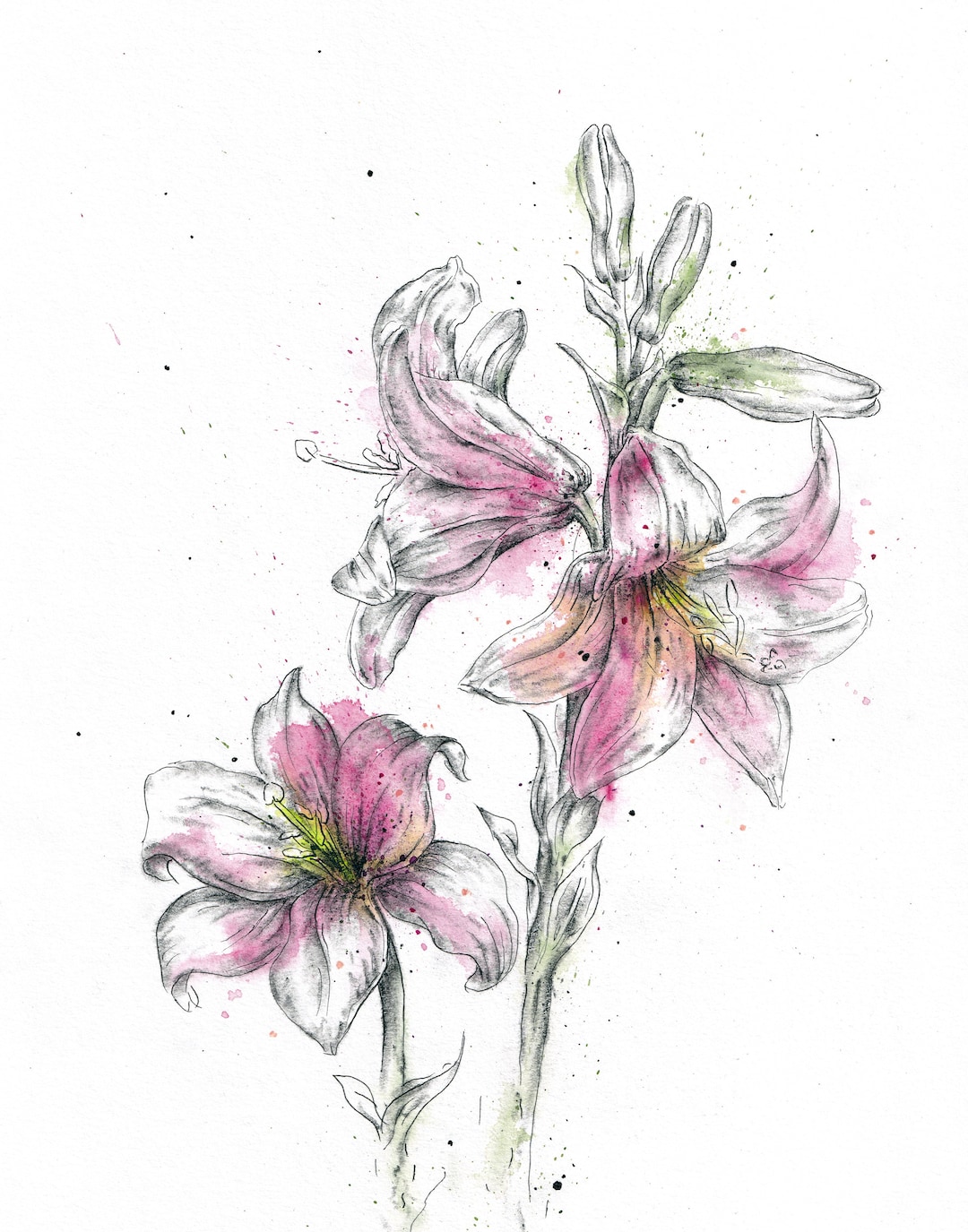 Lilies Flower Wall Art Digital Download | Lily Drawing | Pink Floral ...