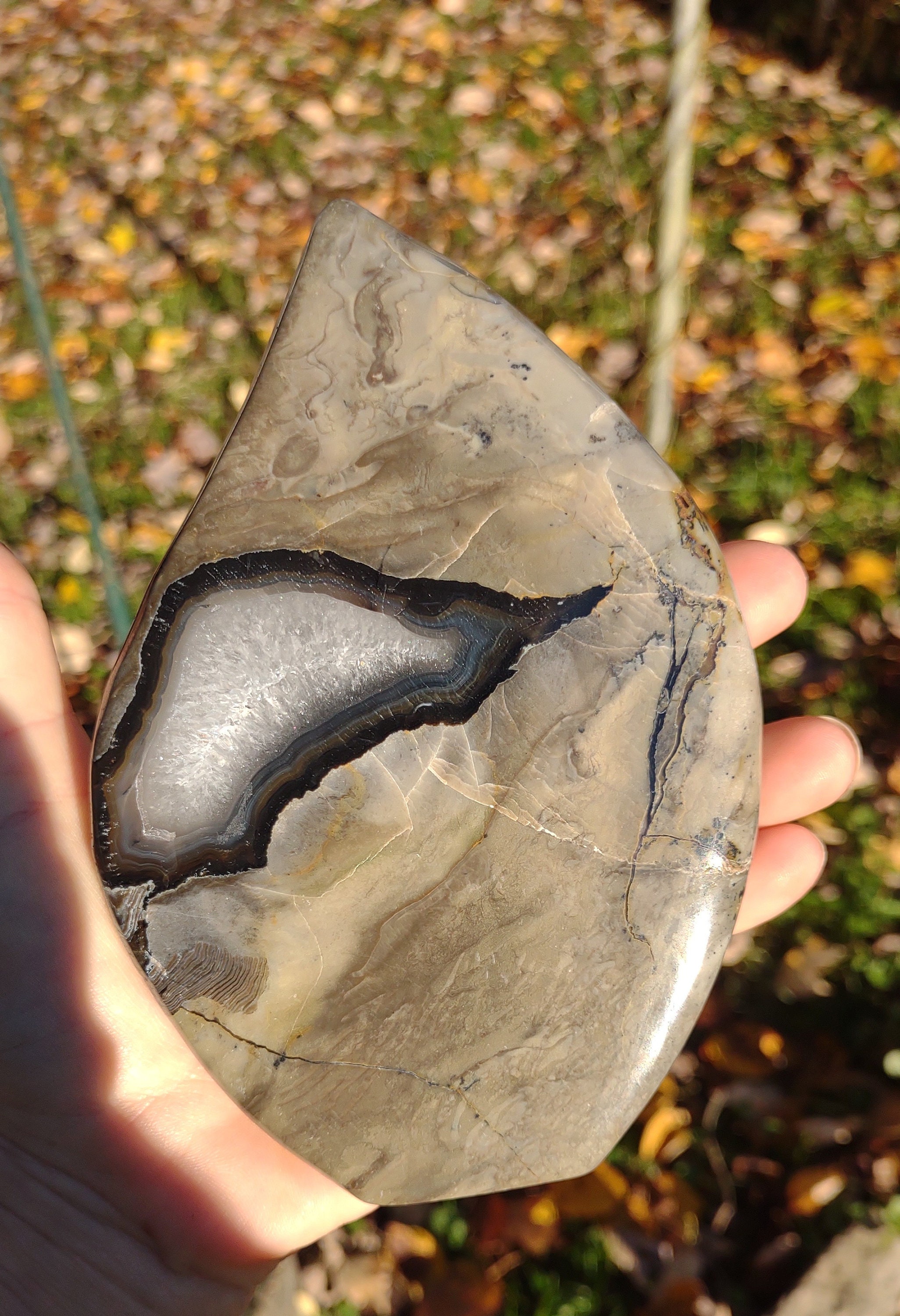 Volcano Agate Freeform - Etsy