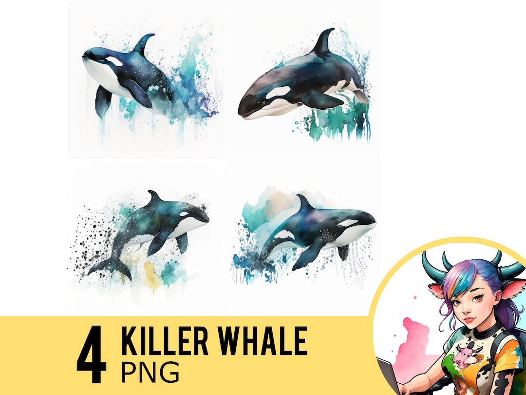 Killer Whale Watercolor PNG Clipart, Whale Portrait PNG Watercolour ...